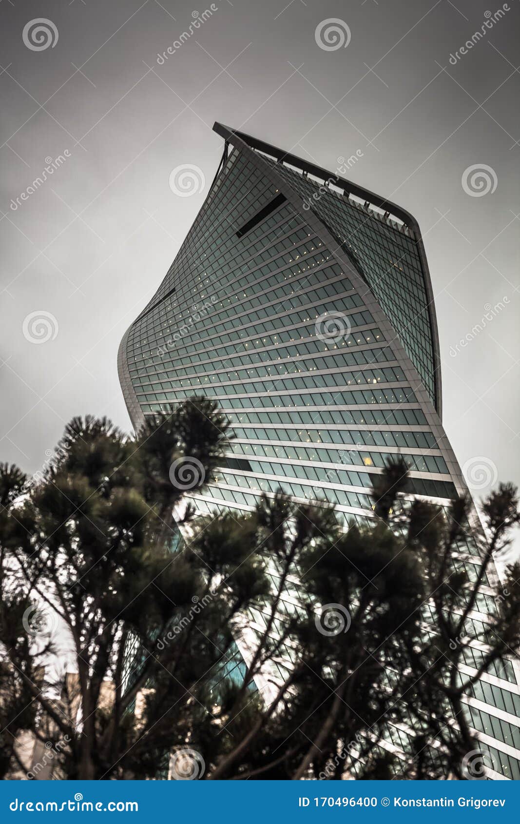Defocused Pine or Fir Branches in the Foreground Against the Background ...