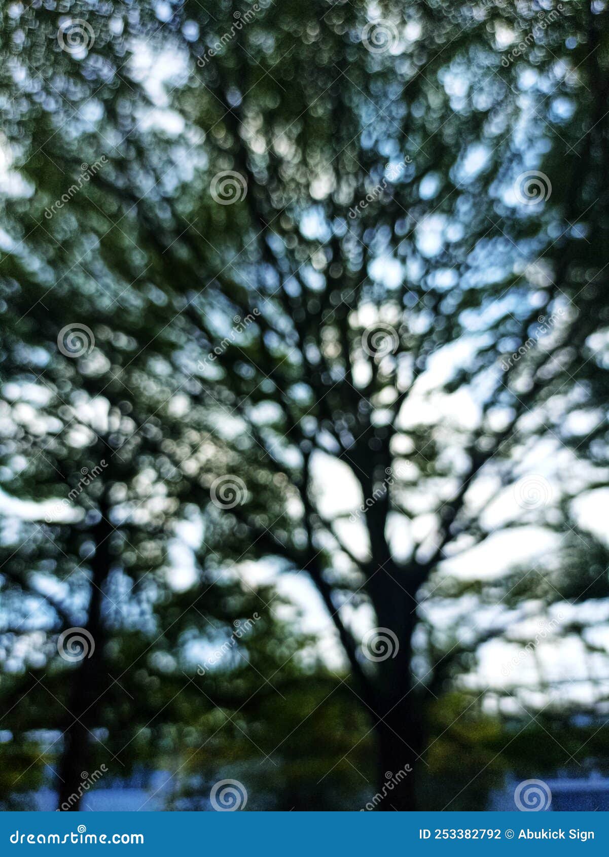 Blurred Potrait Trees Background Stock Photo - Image of darkness, cloud ...