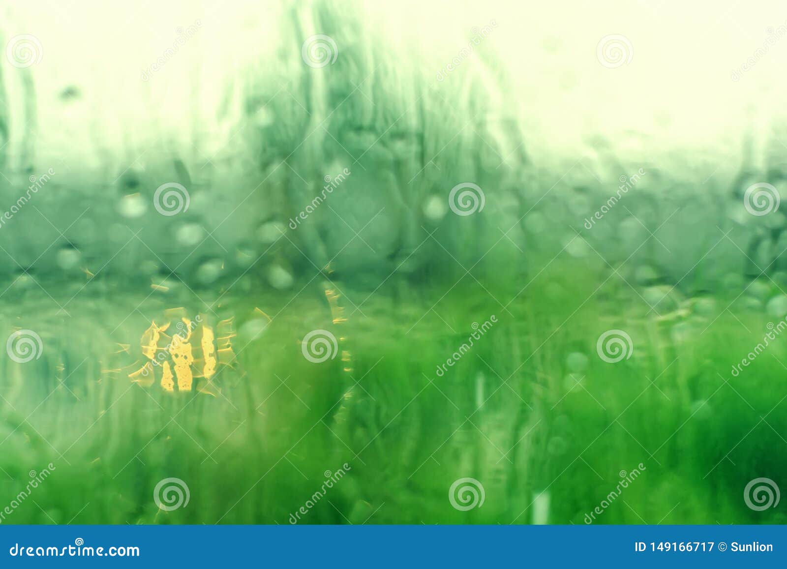 Blurred Rain Drops on a Window Background. Nature Green Bokeh Stock ...