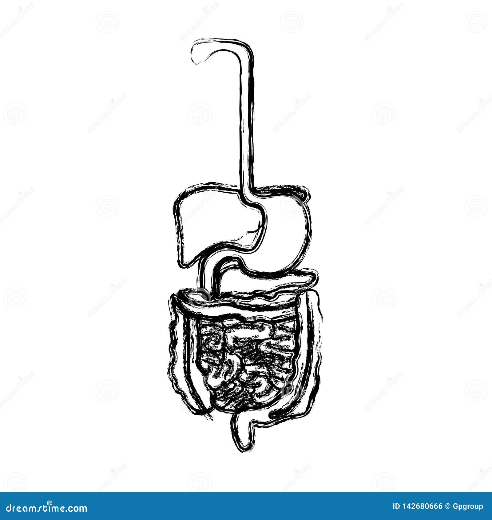 Blurred Realistic Silhouette Human Digestive System Stock Vector ...