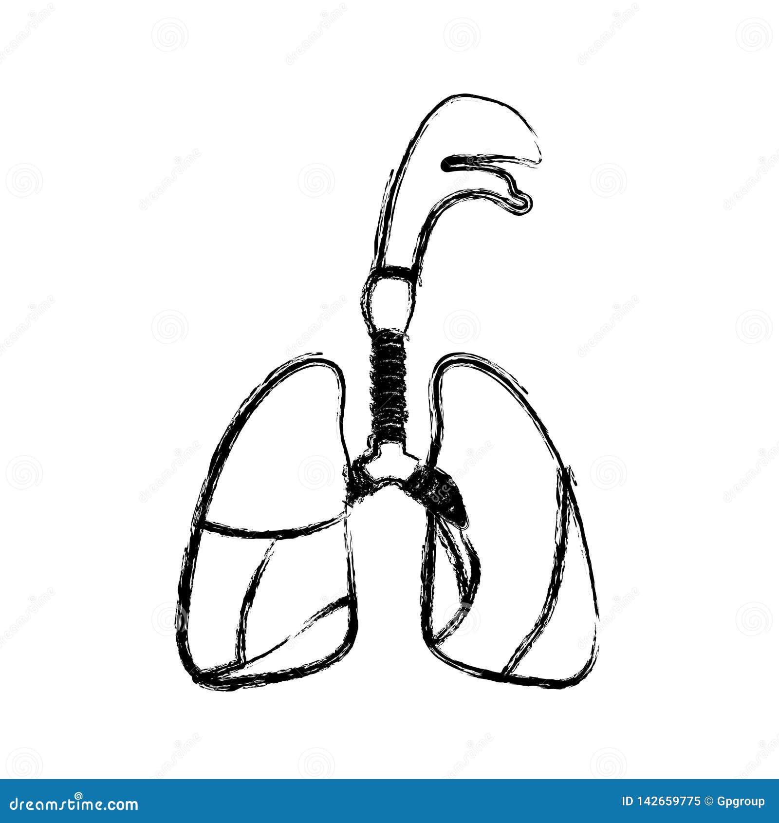 Blurred Realistic Silhouette Respiratory System With Windpipe Cartoon ...