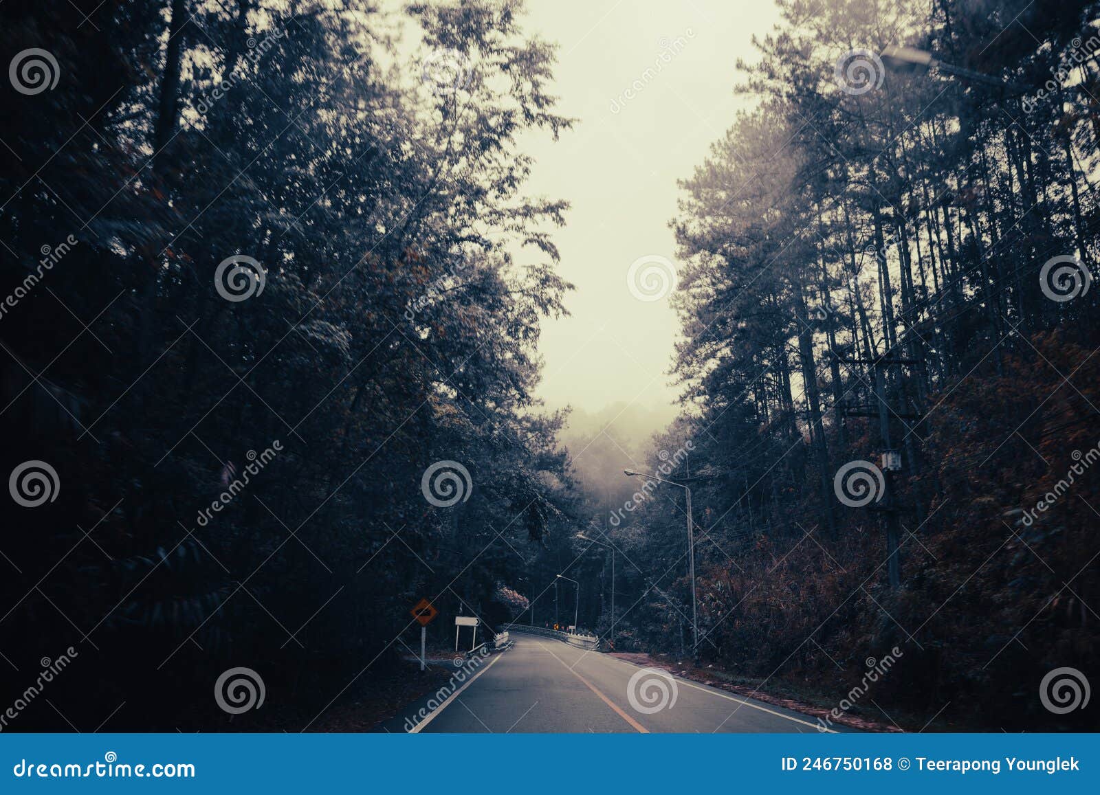 Blurred Roads from the Car S Run into a Large Forest Path Stock Photo ...