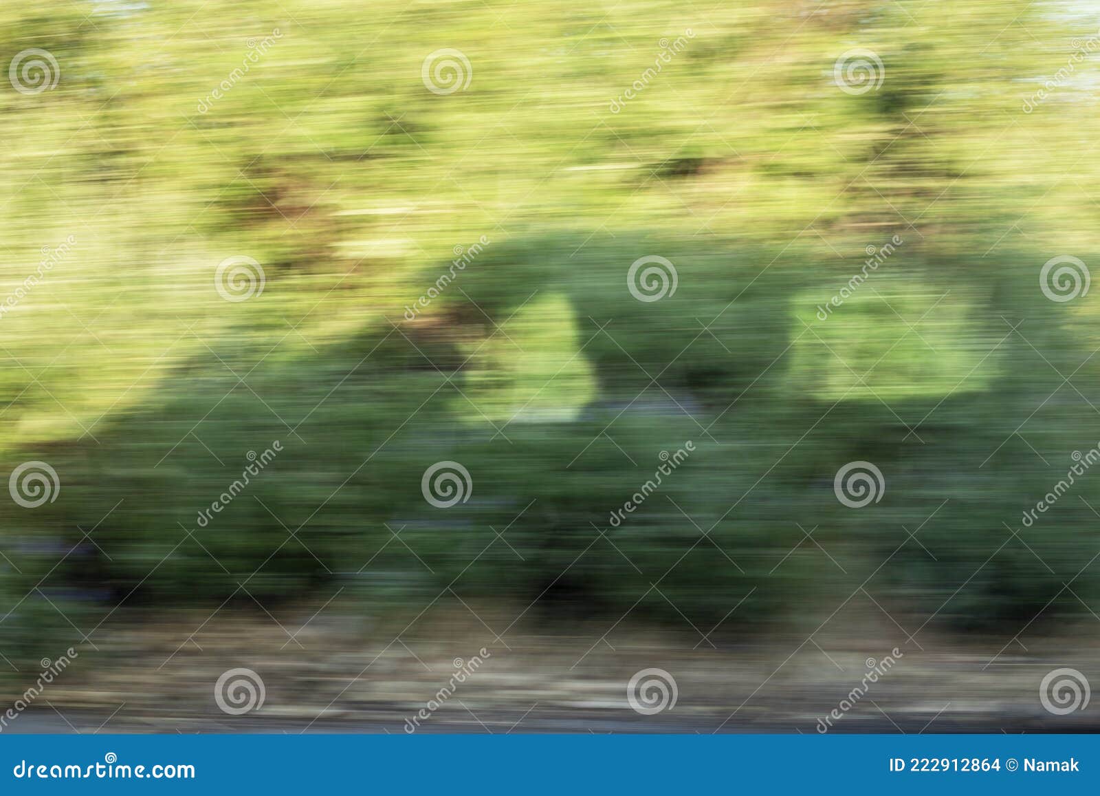 Blurred Shadow from a Driving Car on Green Grass Abstraction ...