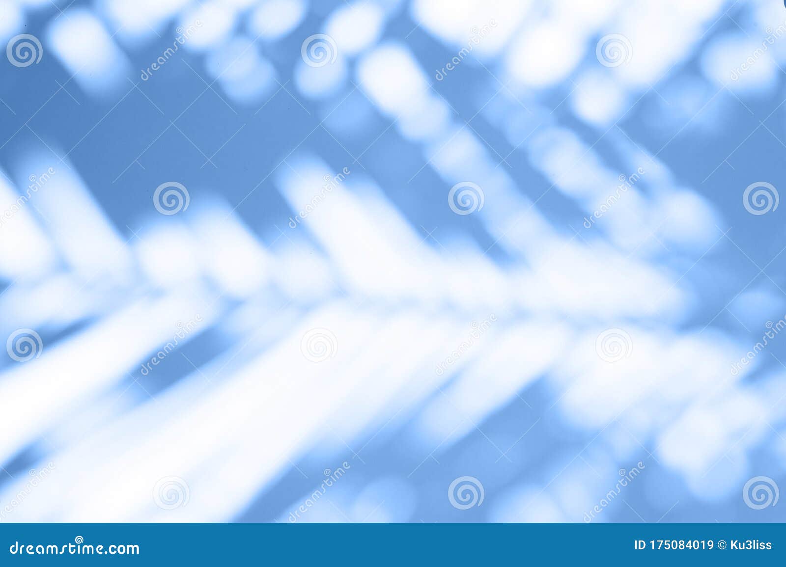 Blurred Shadow of a Palm Leaf on a White Background. Tinted Classic ...