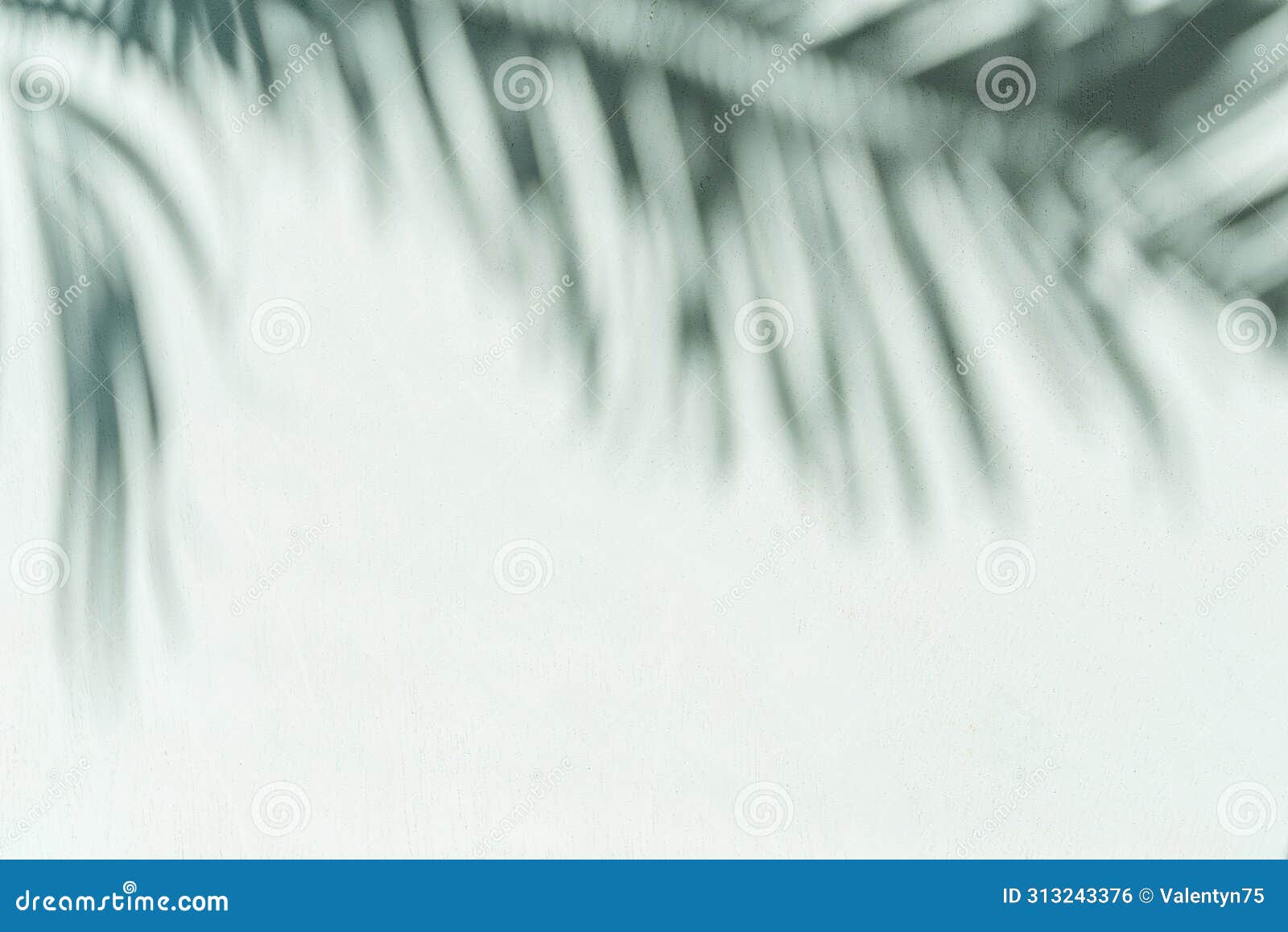 Blurred Shadow of Tropical Palm Leaves on Gray Wall Background. Summer ...