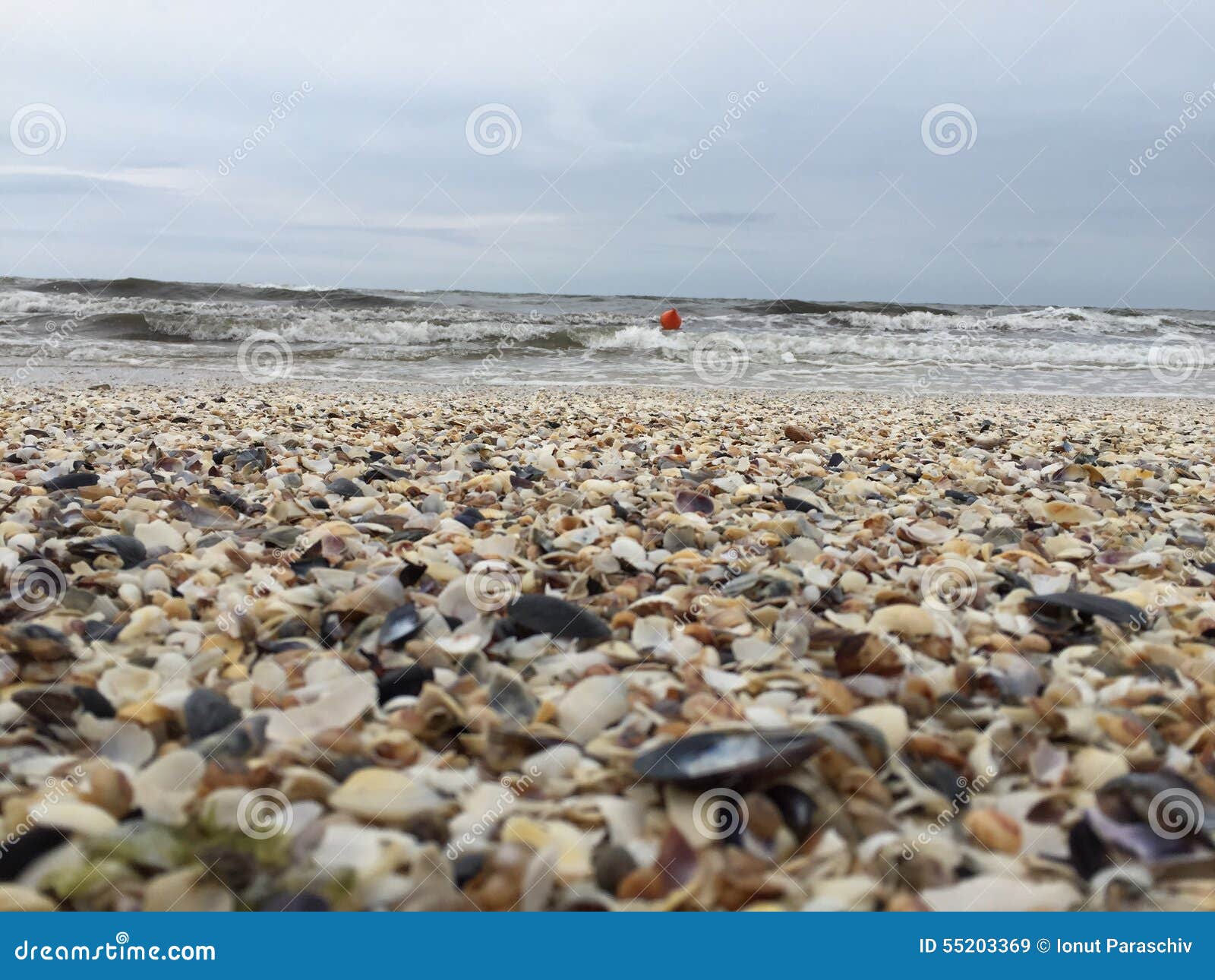 Blurred Shells on the Beach and Buoy in the Waves Stock Image - Image ...