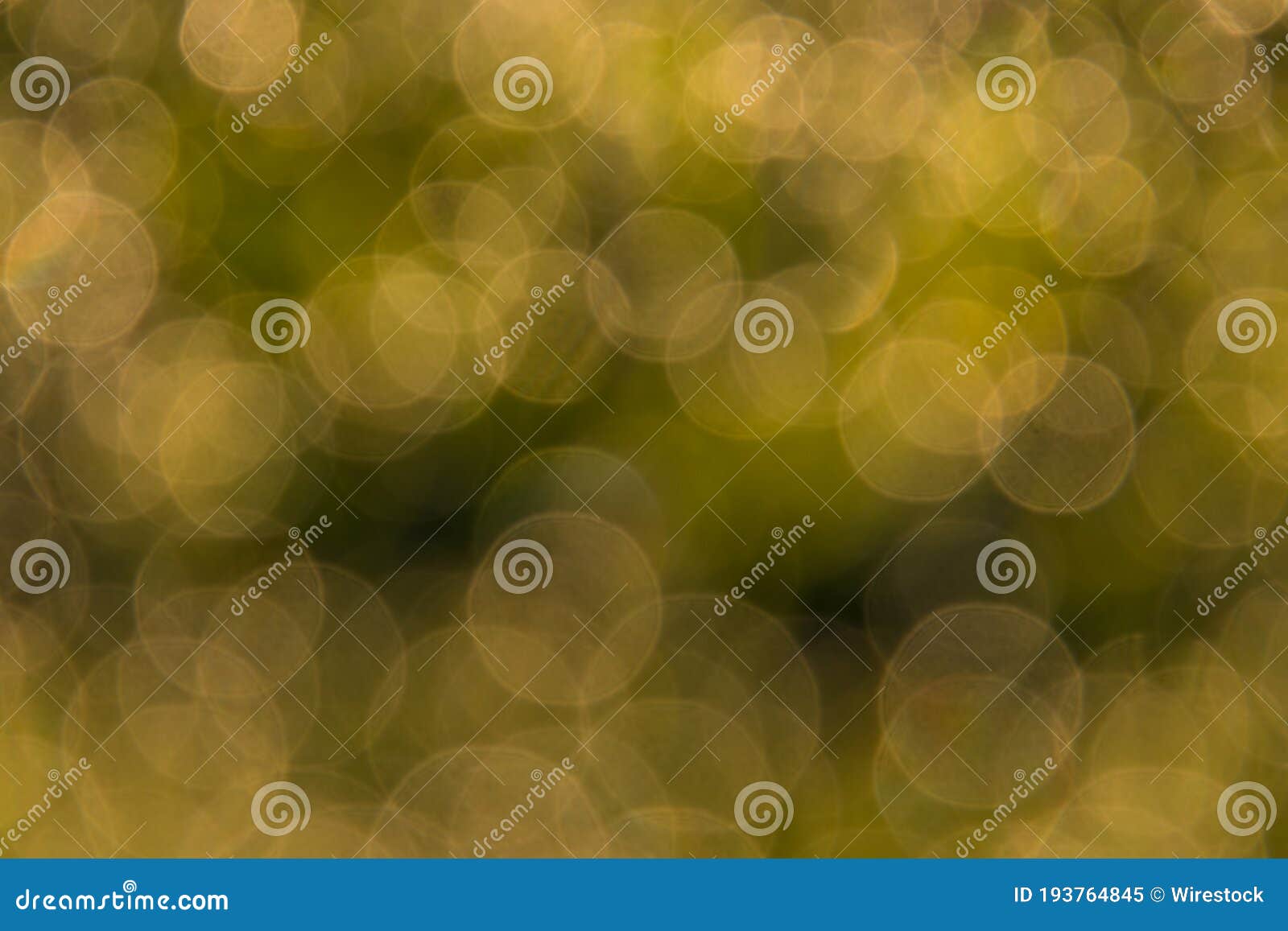 Blurred Shot of the Orbs of Light with a Natural Green Background Stock ...