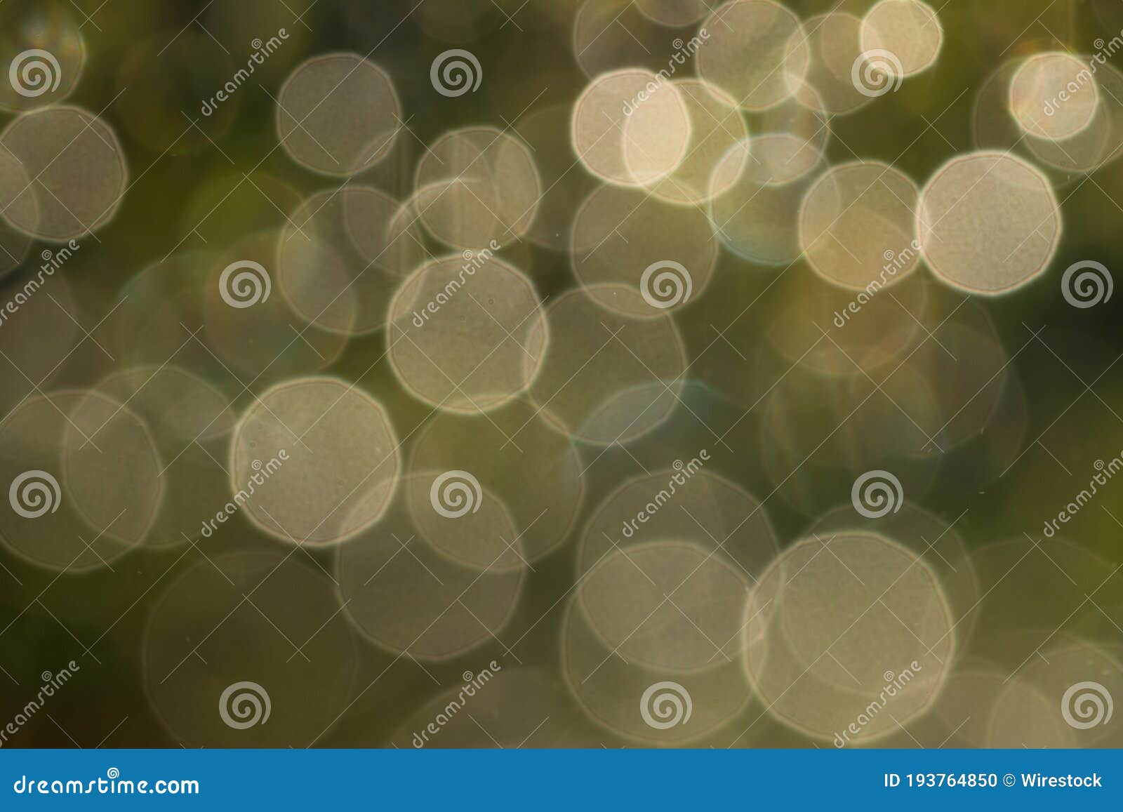 Blurred Shot of the Orbs of Light with a Natural Green Background Stock ...