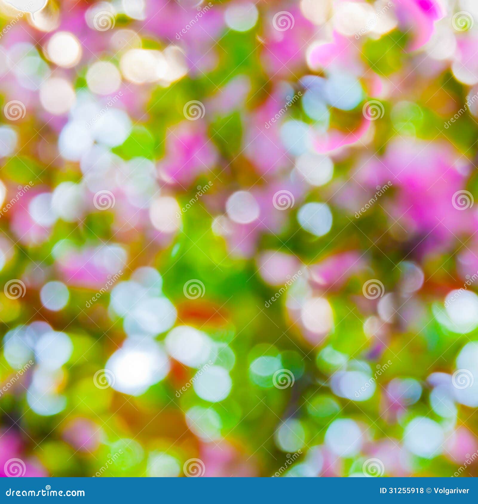 Blurred spring background. stock photo. Image of blossoms - 31255918