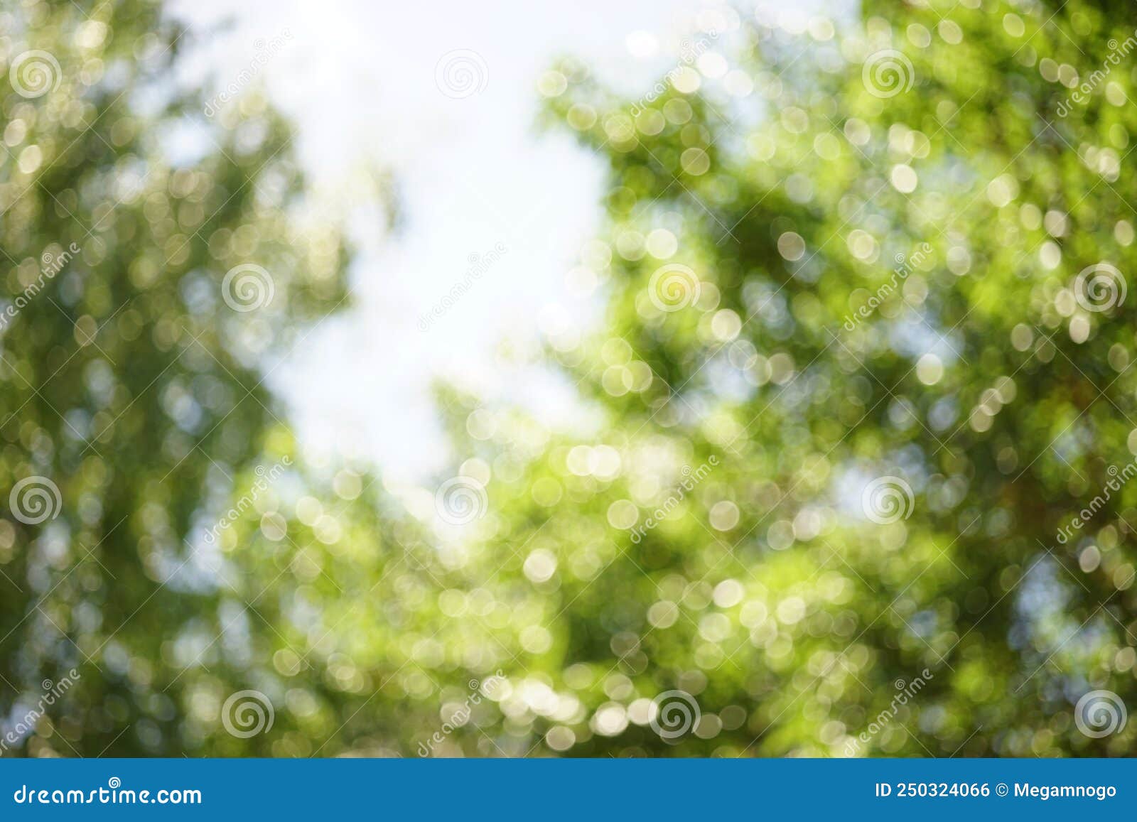 Blurred Summer Trees and Sky. Sunny Garden in Blur Stock Photo - Image ...