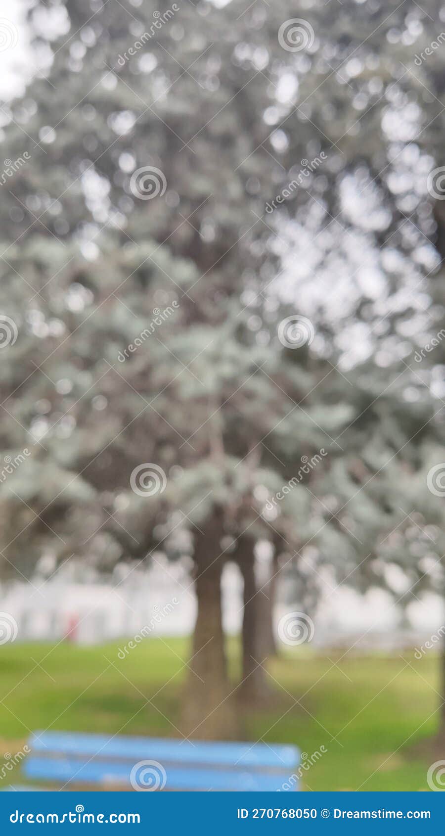 A Blurred Tree Against the Background of a Park Stock Photo - Image of ...