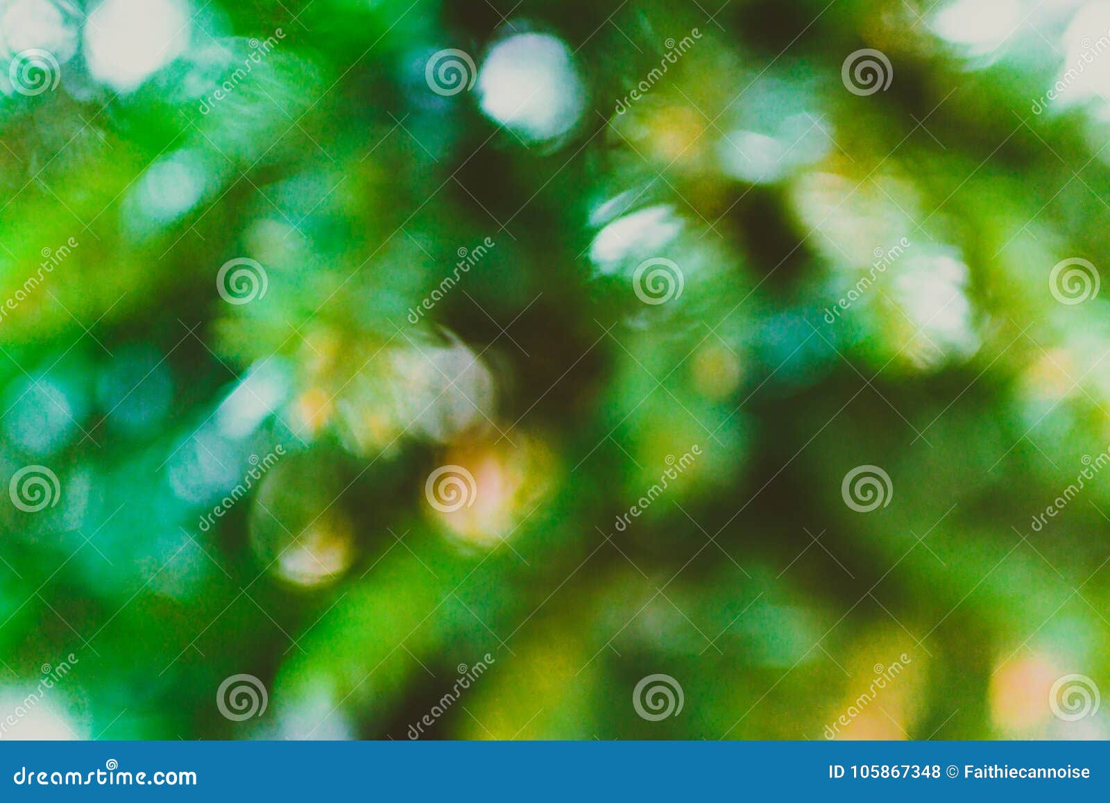 Blurred Tree Background with Bokeh Effect Stock Photo - Image of branch ...