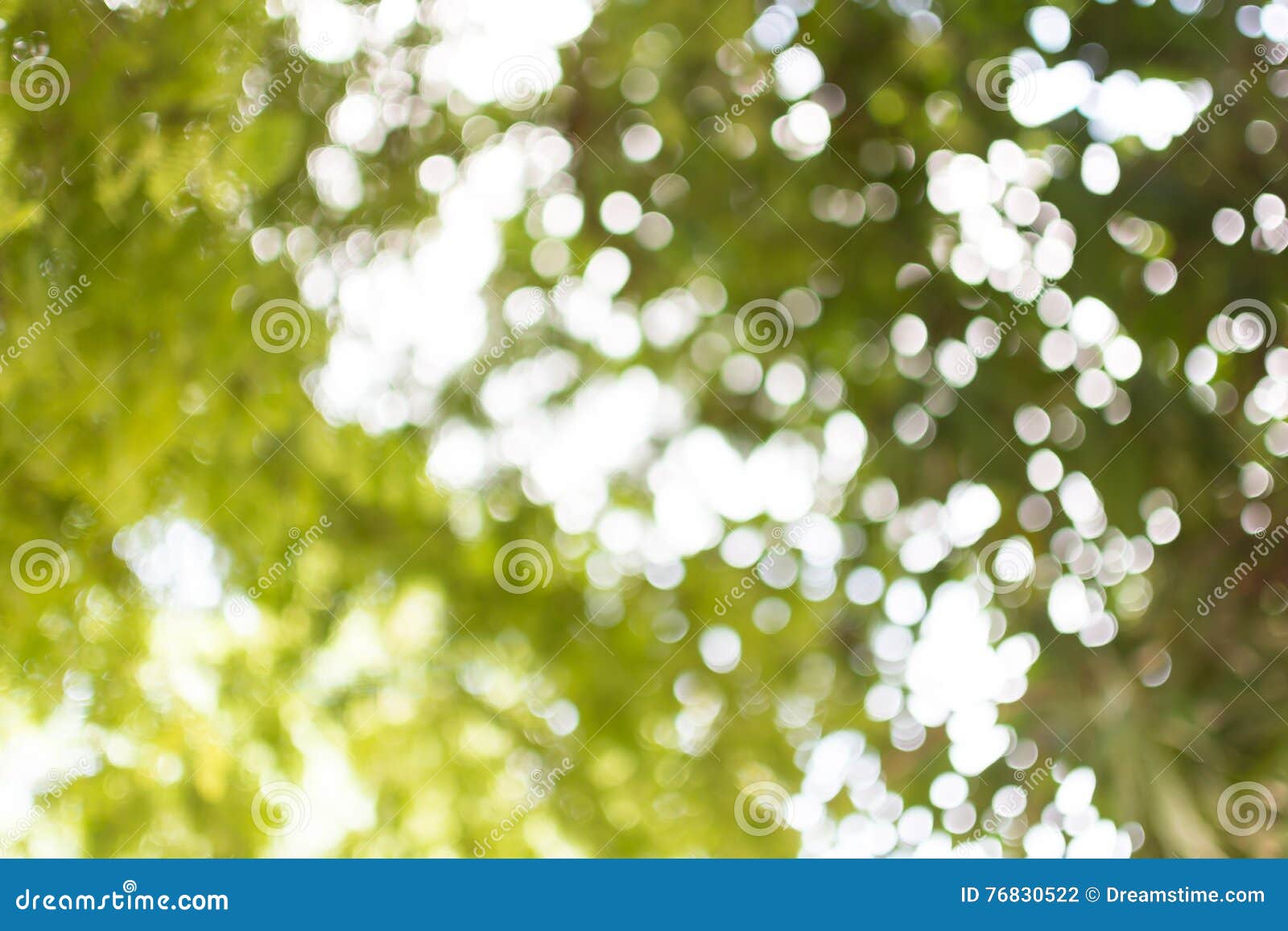 Blurred Tree and Bokeh Tree. Stock Photo - Image of colorful, blurred ...