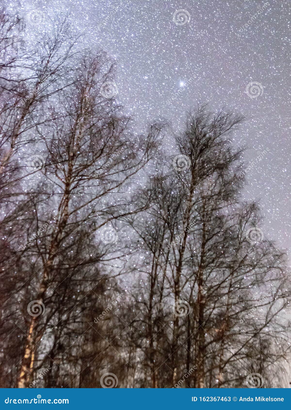 Blurred Tree Branches Against Starry Sky, Blurred Texture, Suitable for ...
