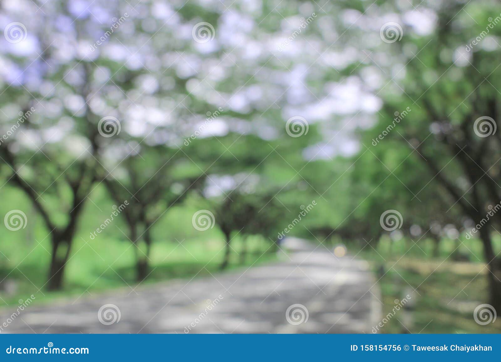 The Blurred Tree and Road in Nature Stock Photo - Image of round ...