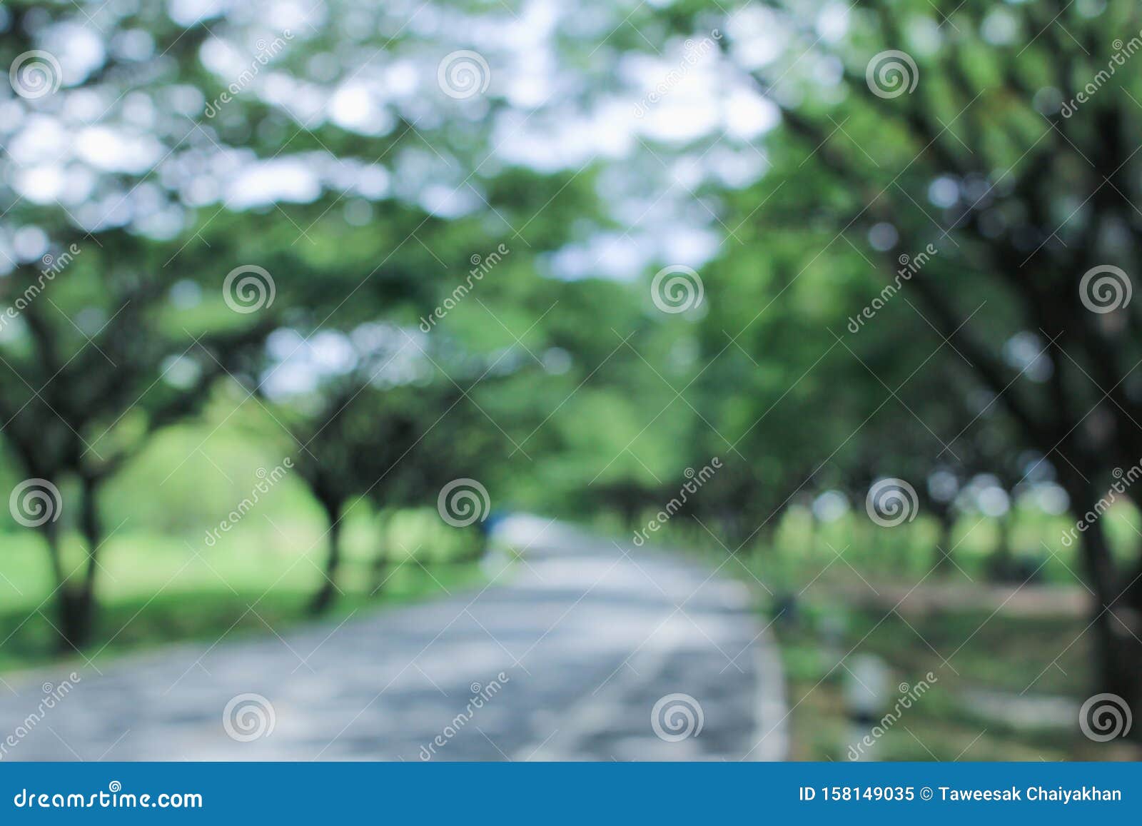 The Blurred Tree and Road in Nature Stock Image - Image of season ...