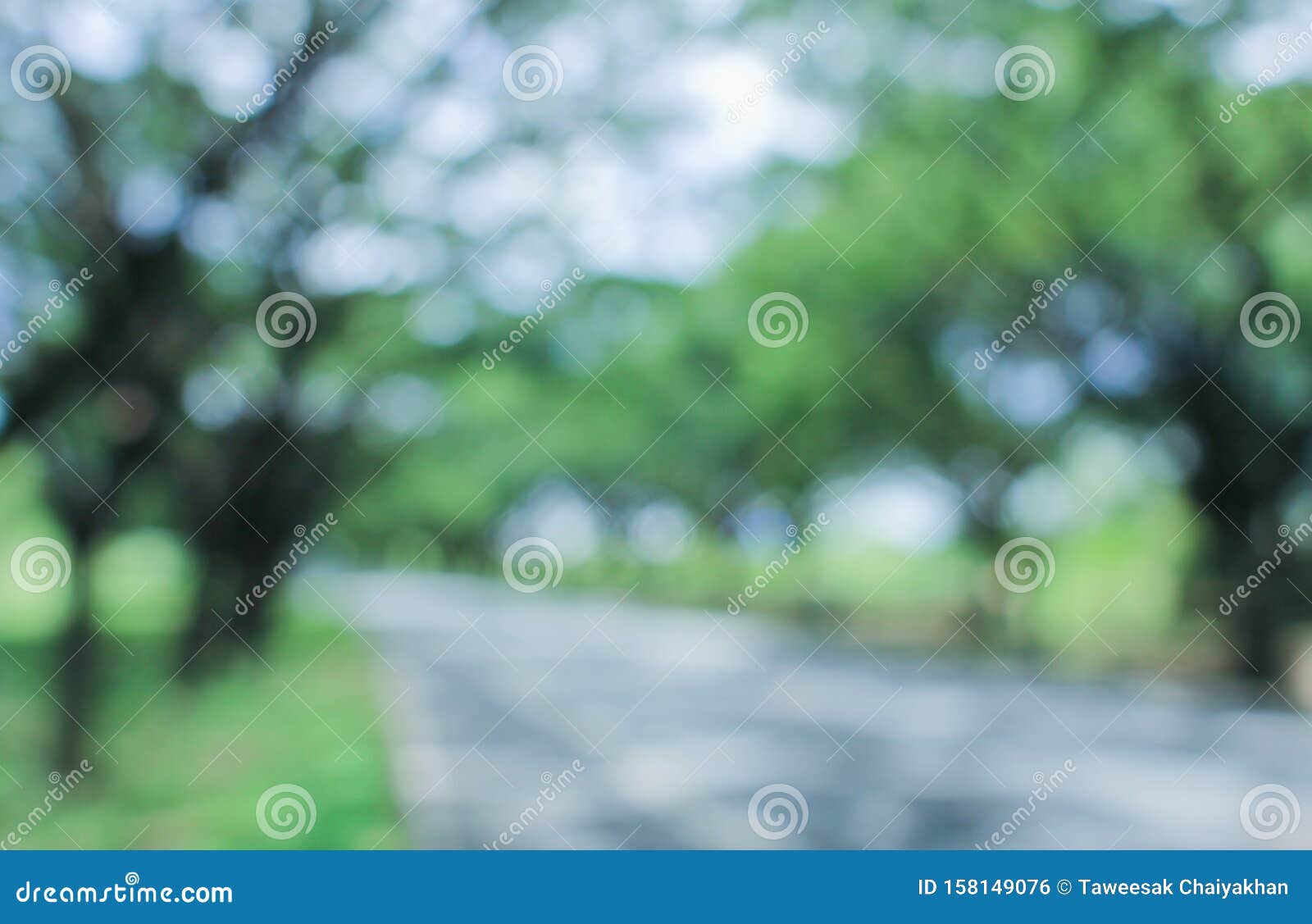 The Blurred Tree and Road in Nature Stock Photo - Image of plants ...