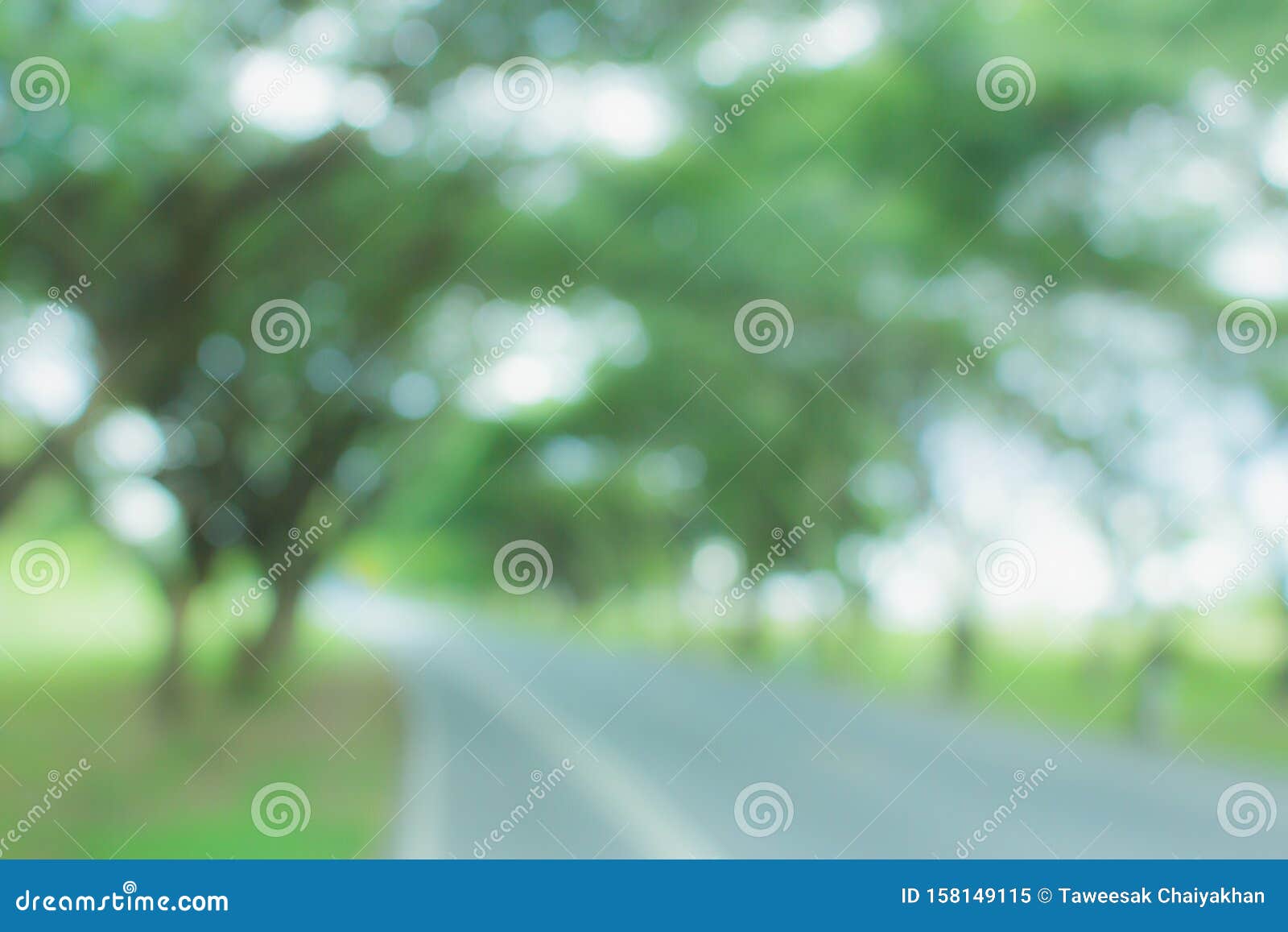 The Blurred Tree and Road in Nature Stock Image - Image of light ...
