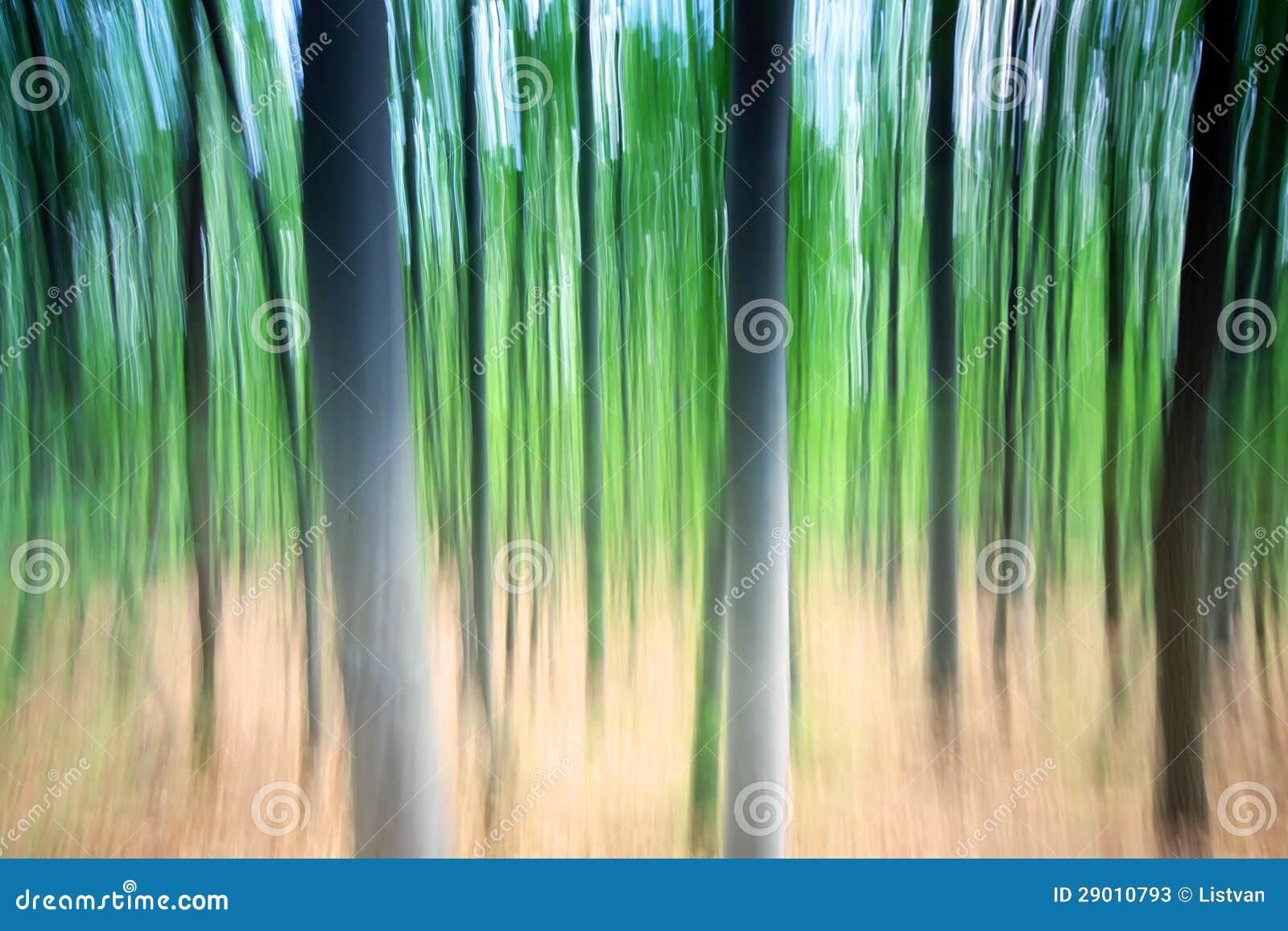 Blurred trees stock image. Image of branches, color, leaf - 29010793