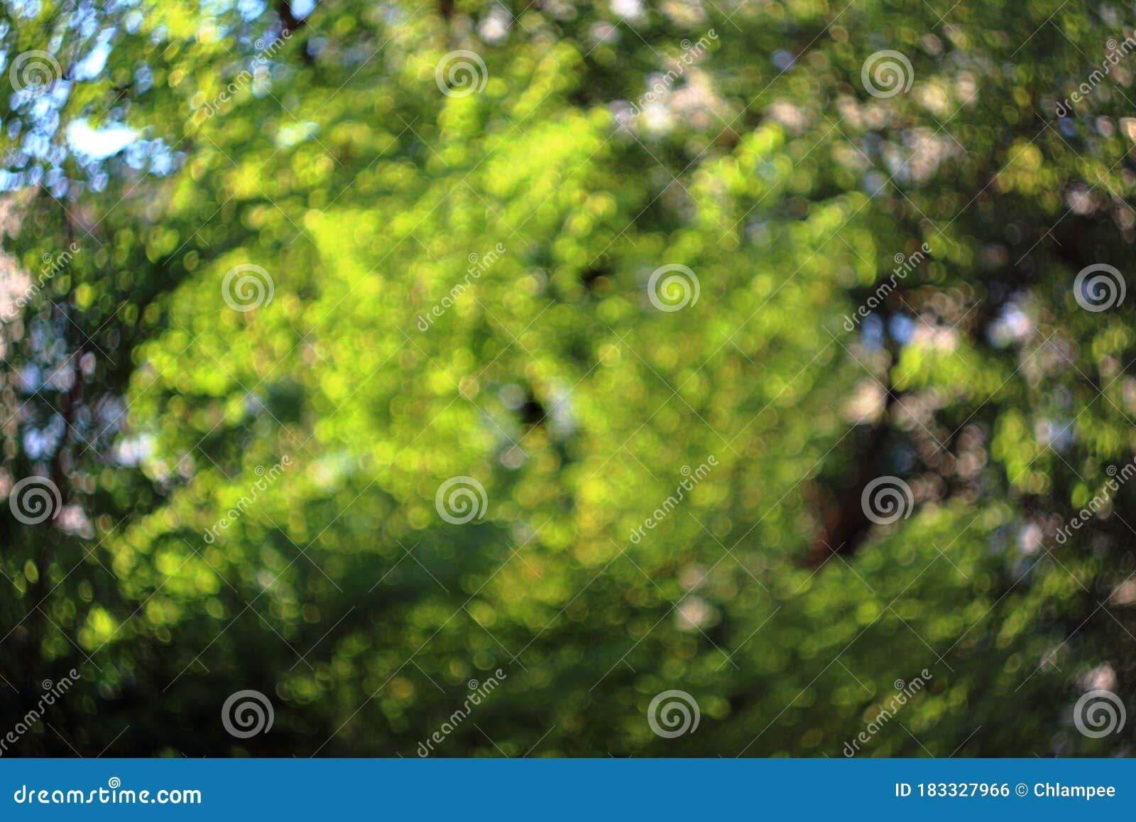 Blurred trees background stock photo. Image of background - 183327966