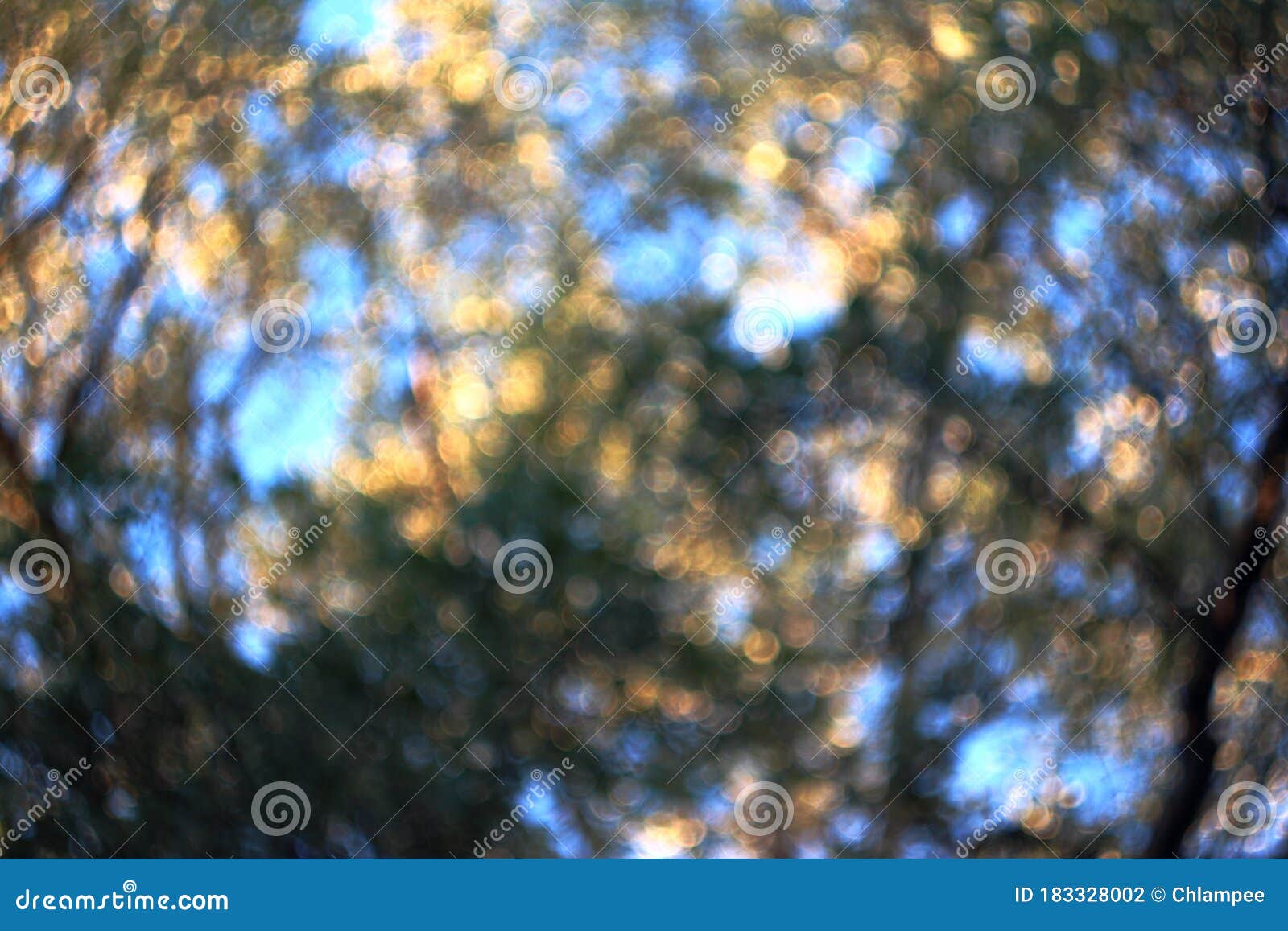 Blurred trees background stock photo. Image of abstract - 183328002