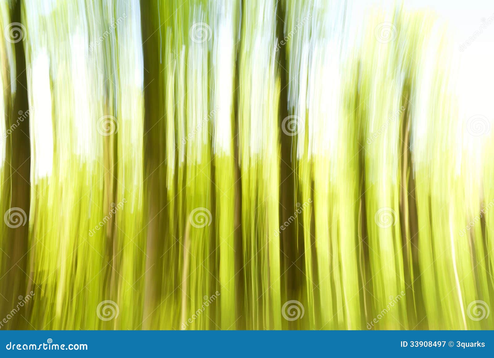 Blurred Trees stock image. Image of dream, idyllic, blur - 33908497