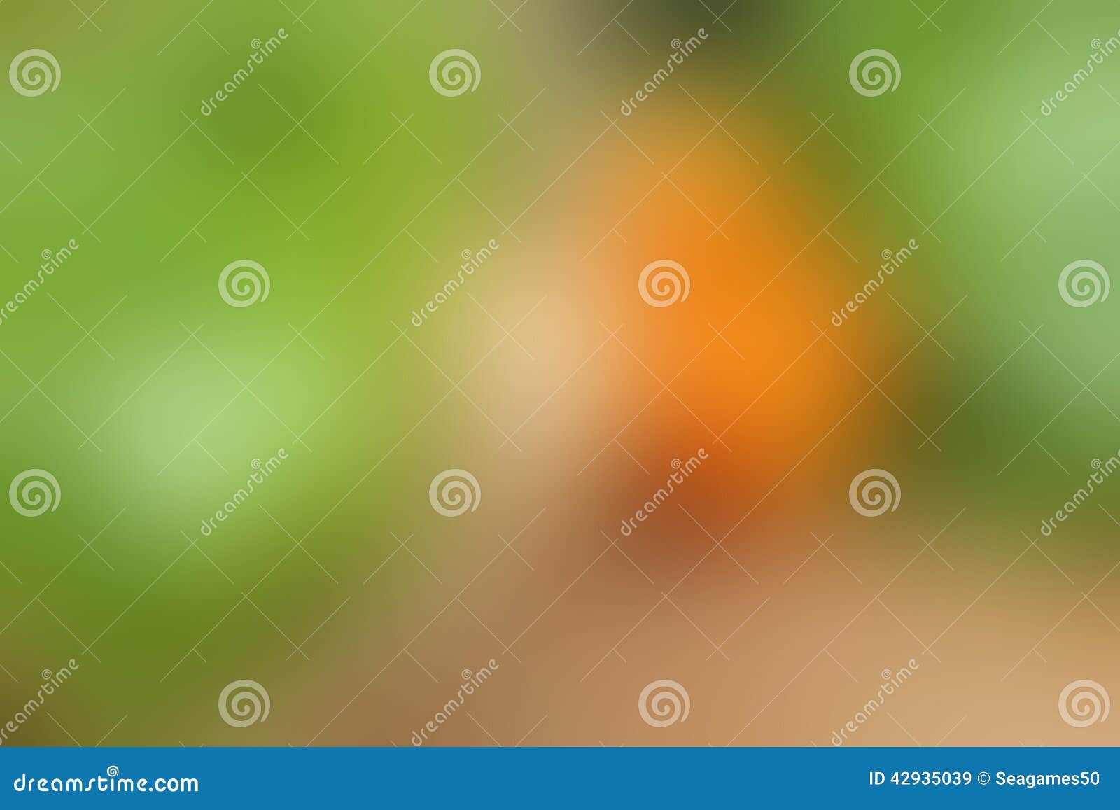 Blurred Vegetables Salad and Tomato in the Basket Stock Image - Image ...