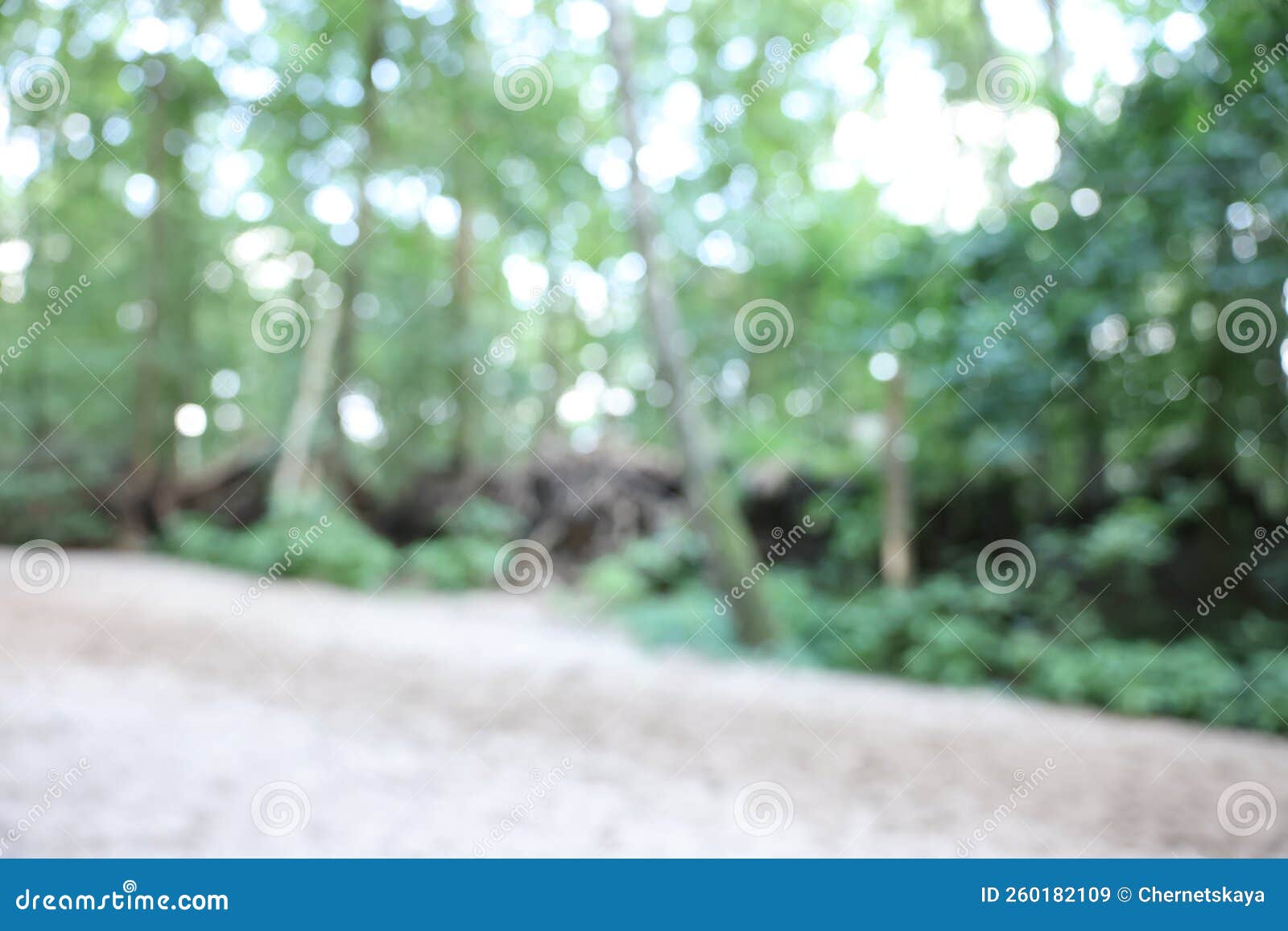 Blurred View of Green Trees in Forest Stock Image - Image of reserve ...
