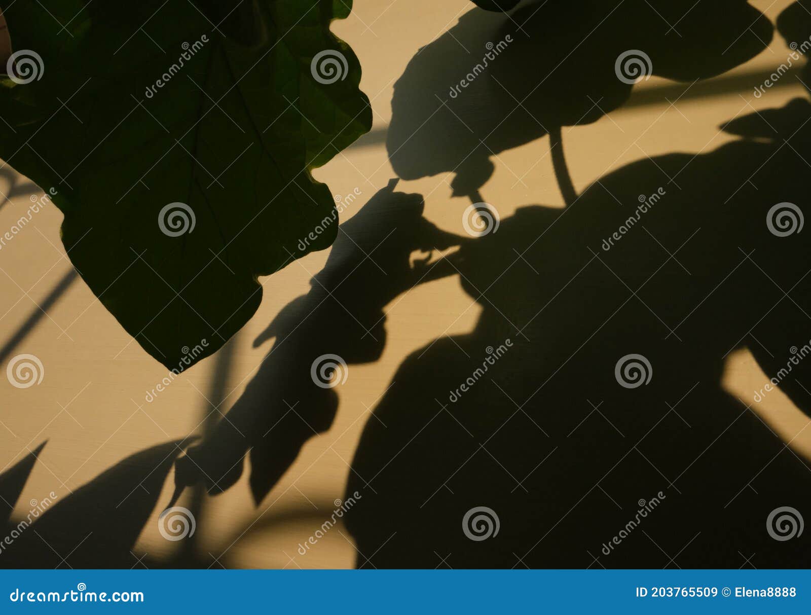 Blurred View, Light and Shadow Concept. Abstract Shadow Background of ...