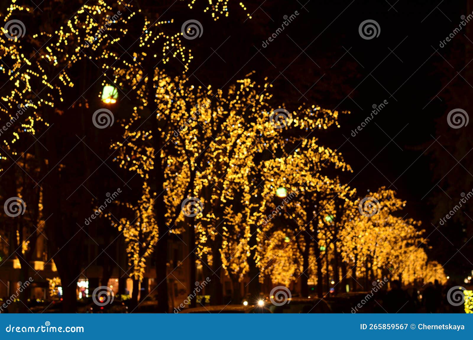 Blurred View of Street with Beautiful Lights on Trees at Night Stock ...