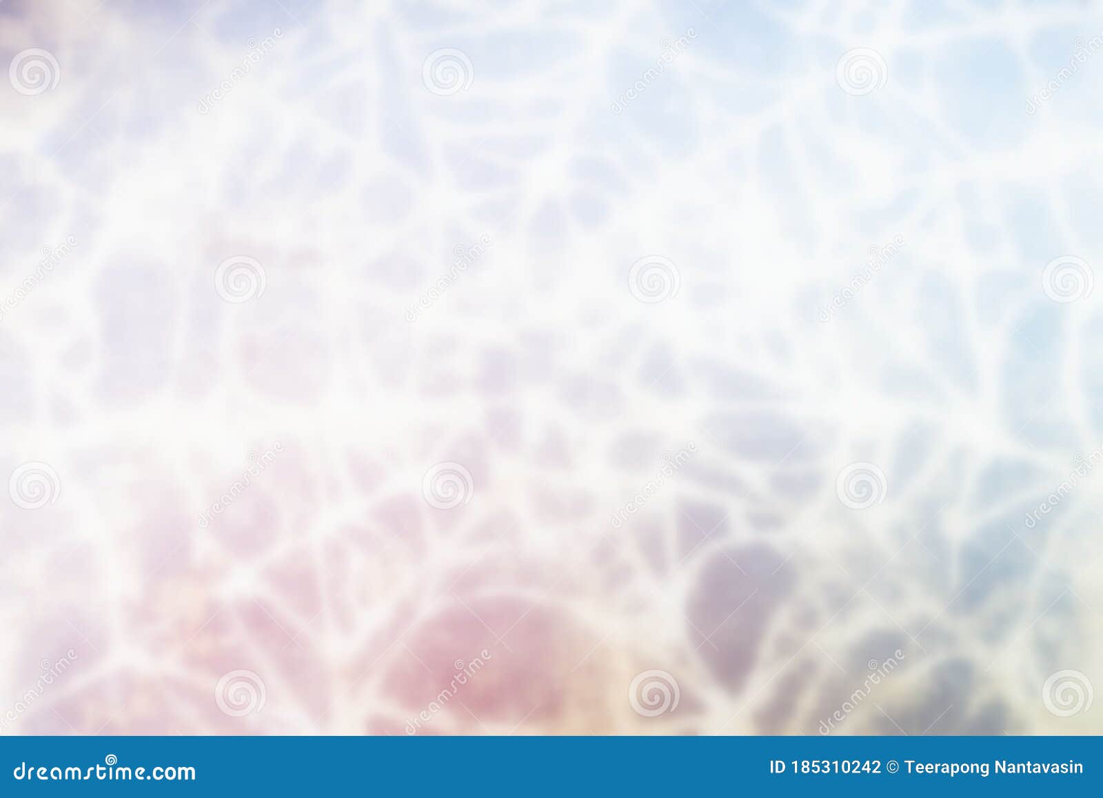 Blurred White Spider Web Texture Background. Stock Photo - Image of ...