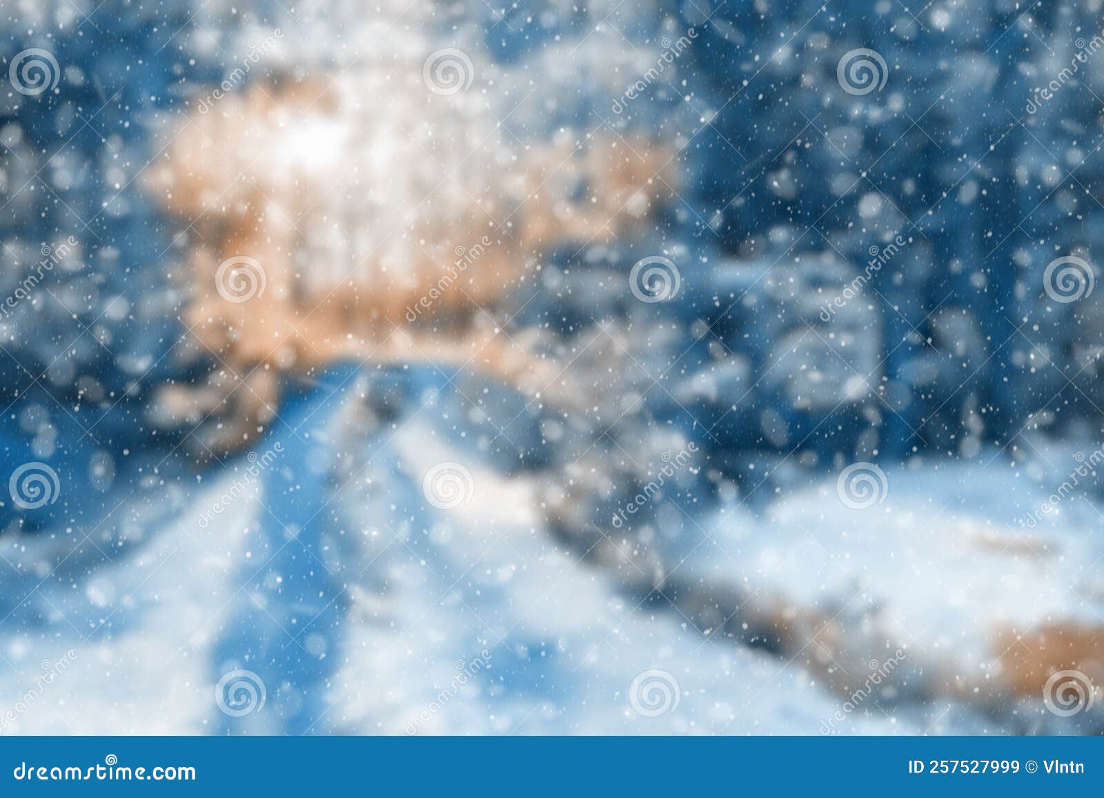 Blurred winter forest stock image. Image of blue, beautiful - 257527999