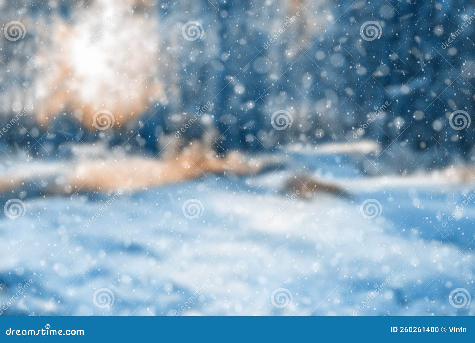 Blurred winter forest stock photo. Image of pine, light - 260261400
