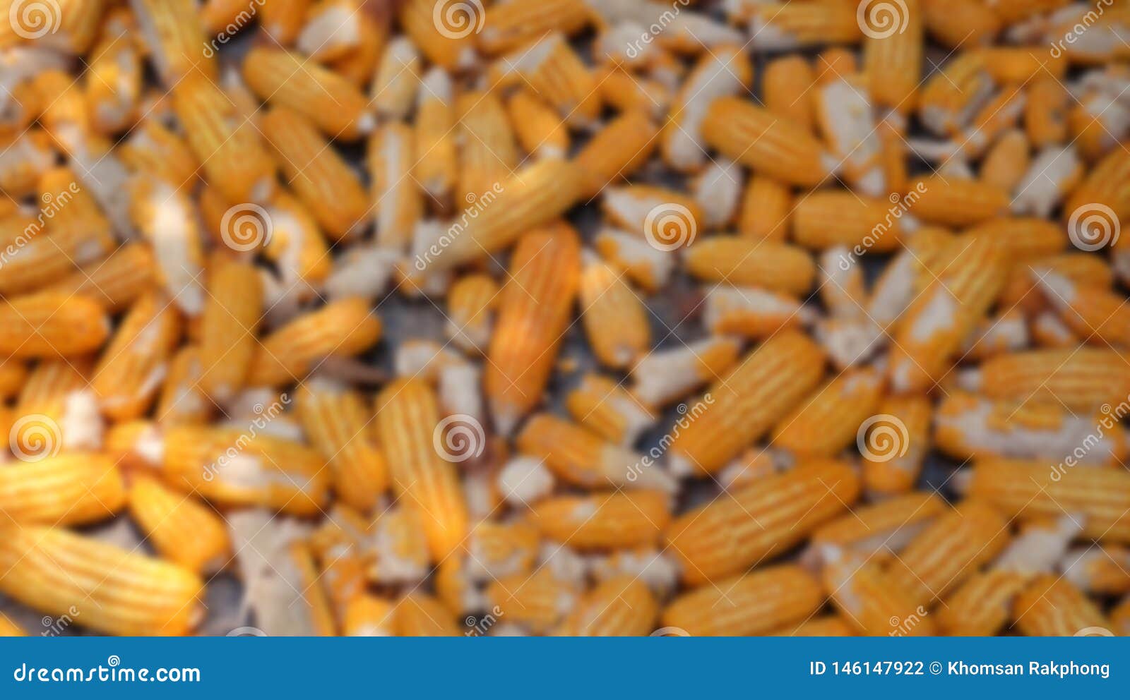 Blurred Yellow Ear of Sweet Corn on the Floor. Stock Photo - Image of ...