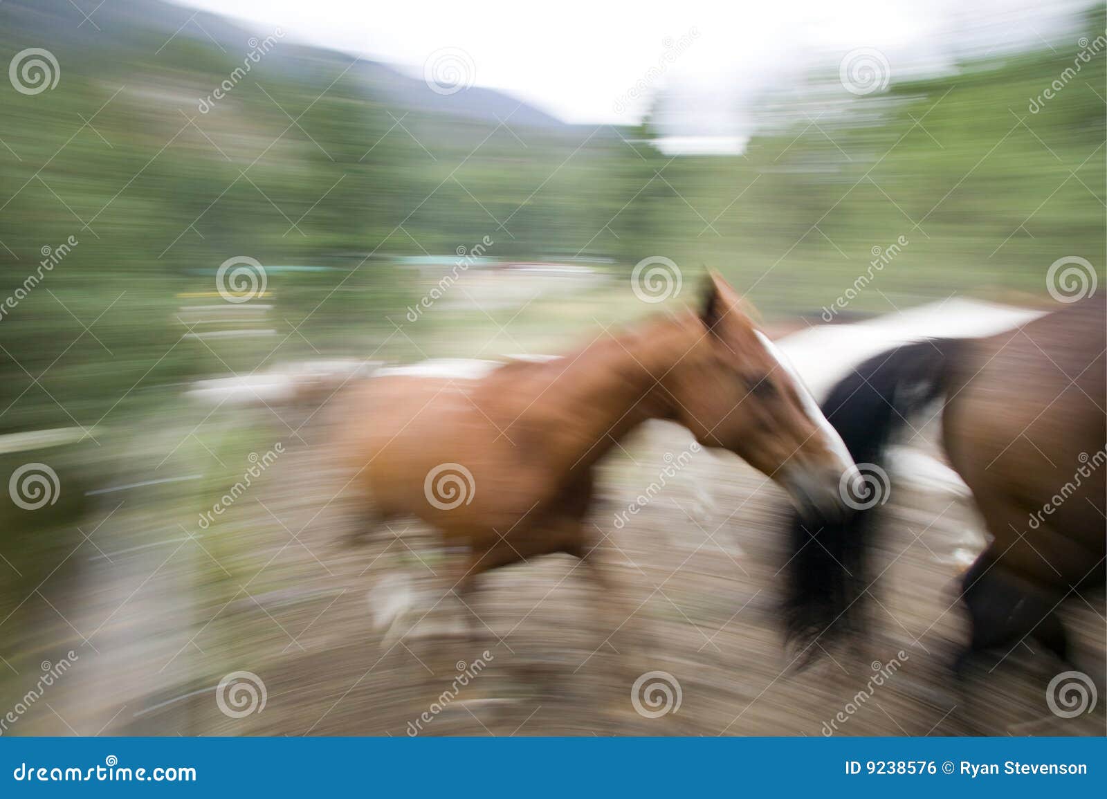 Blurry Action stock photo. Image of travel, fleeing, outdoor - 9238576