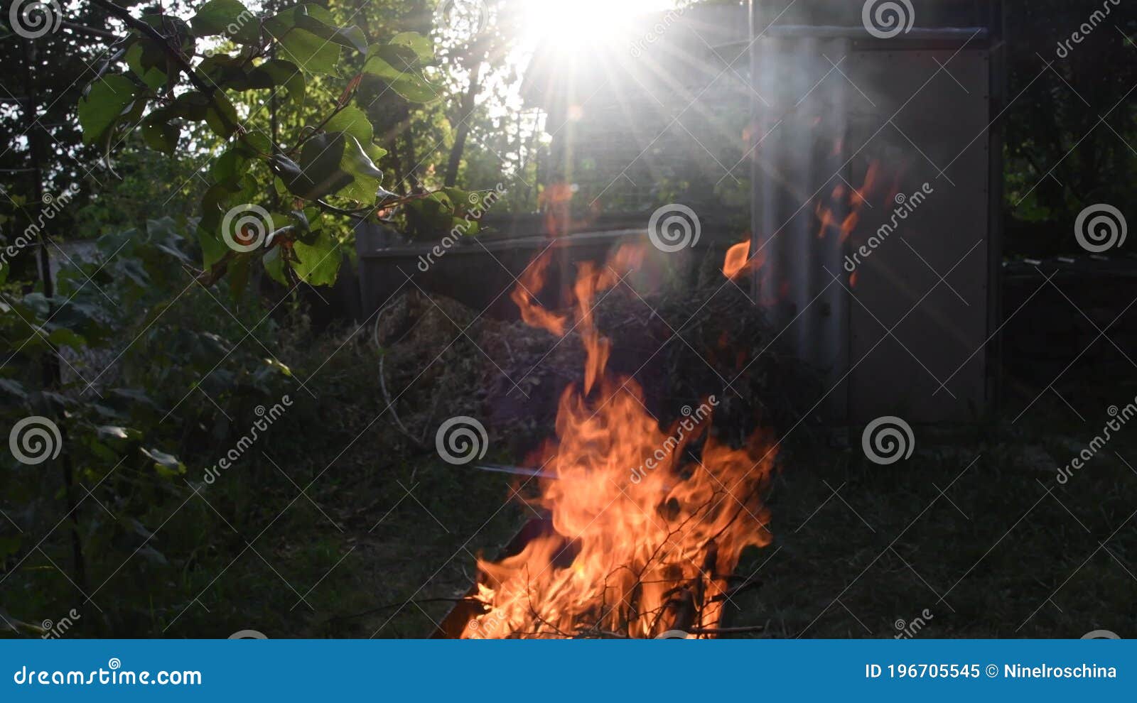 Blurry Burning Fire Under Sun Rays with Lens Flare. Campfire Flames on ...