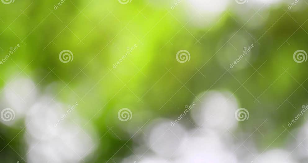 Blurry Colourful Abstract Background Stock Photo - Image of blur ...