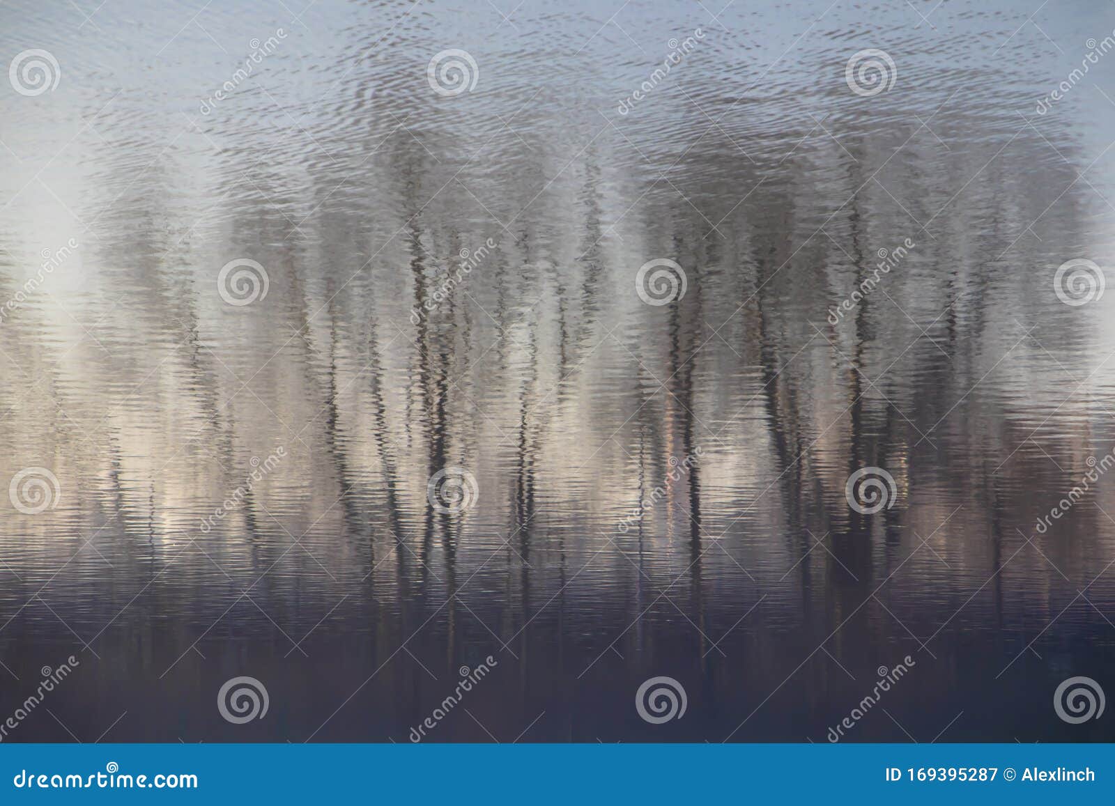 Blurry Dark Water Reflection of the Bare Trees in a Forest Stock Image ...