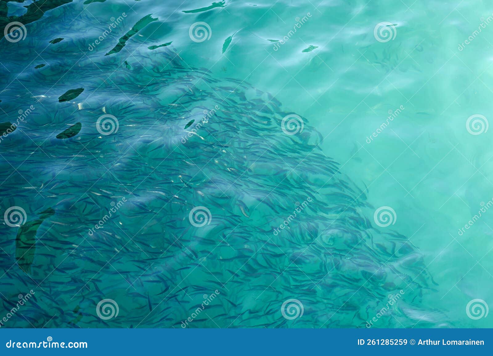 Blurry Fish in Tropical Water As an Abstract Background. Stock Image ...