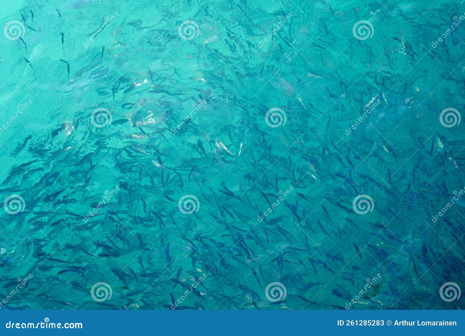 Blurry Fish in Tropical Water As an Abstract Background. Stock Image ...