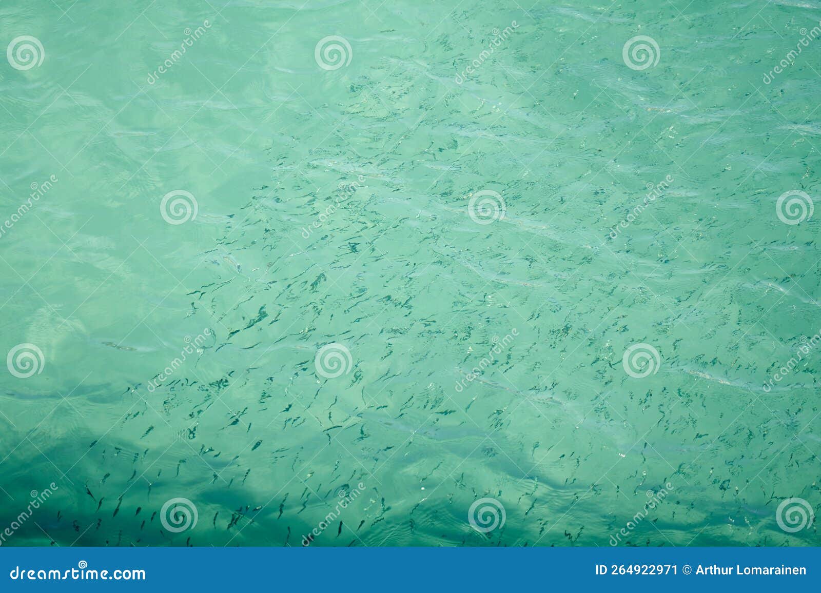 Blurry Fish in Tropical Water As an Abstract Background. Stock Image ...