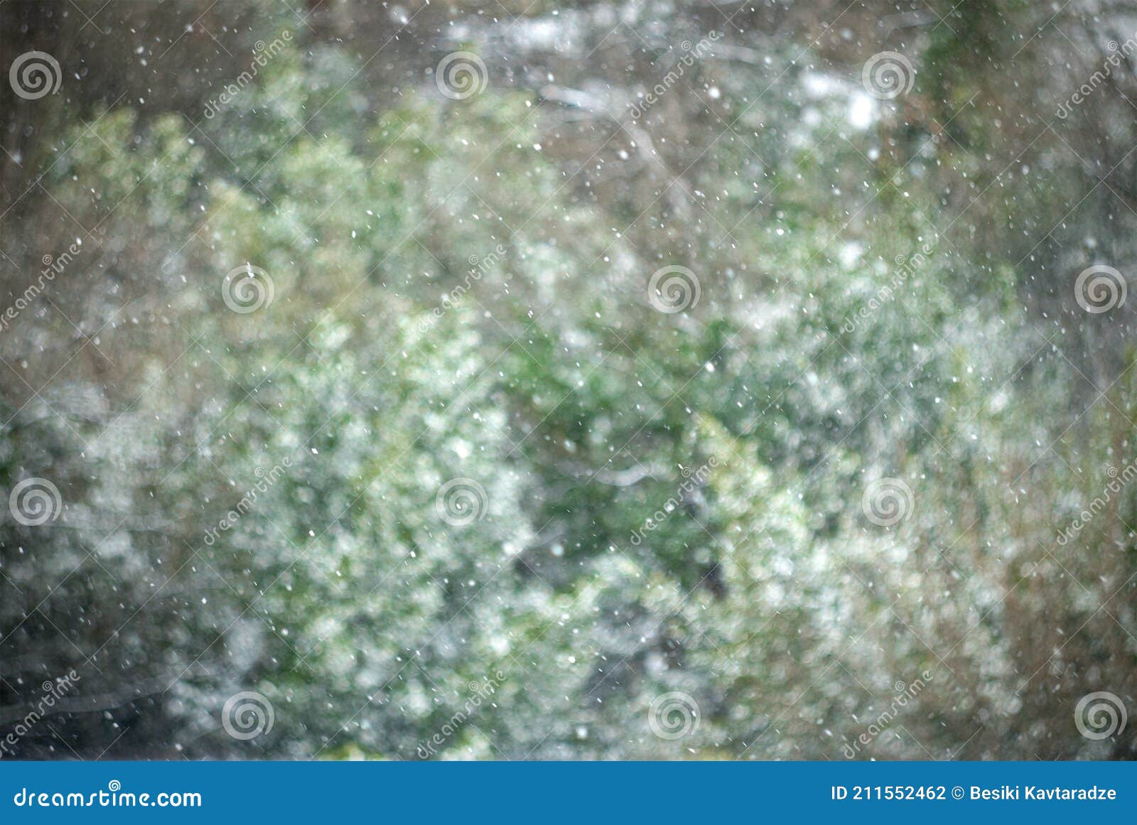 Blurry Forest with Falling Snow Flakes in Blur. Stock Photo - Image of ...