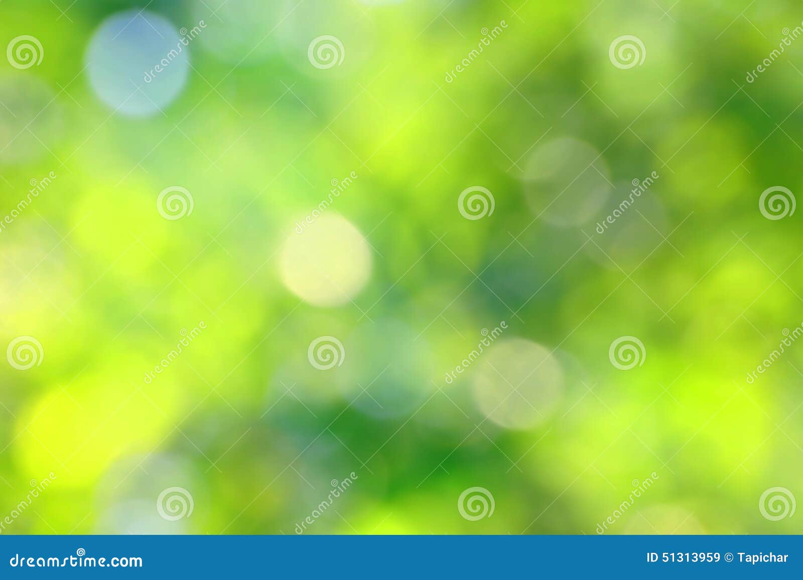 Blurry green background stock image. Image of nature - 51313959