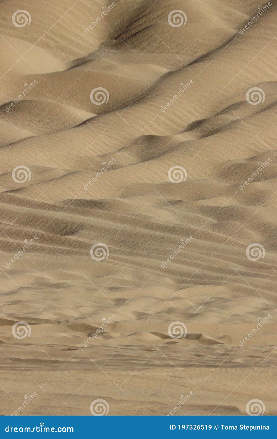 Blurry Image of Sand Pattern. Abstract Nature Background. Stock ...