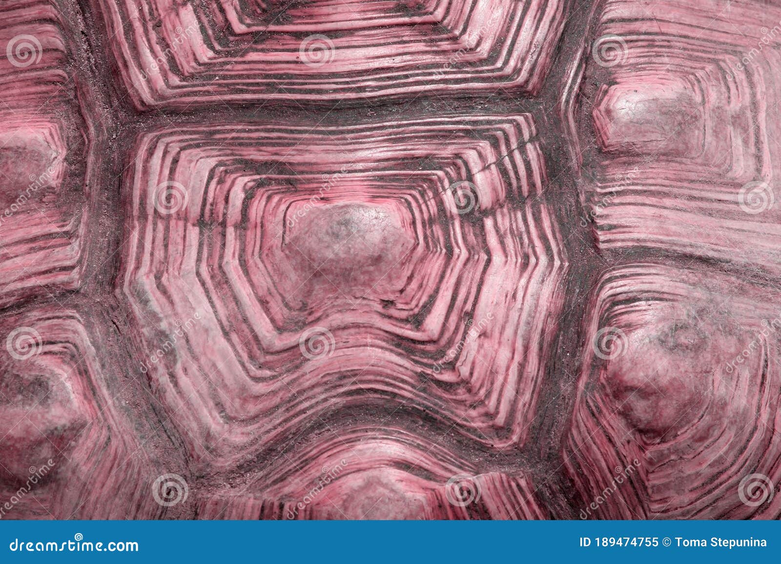 Blurry Image of Turtle`s Shell. Pattern of Nature. Shot of Giant Turtle ...