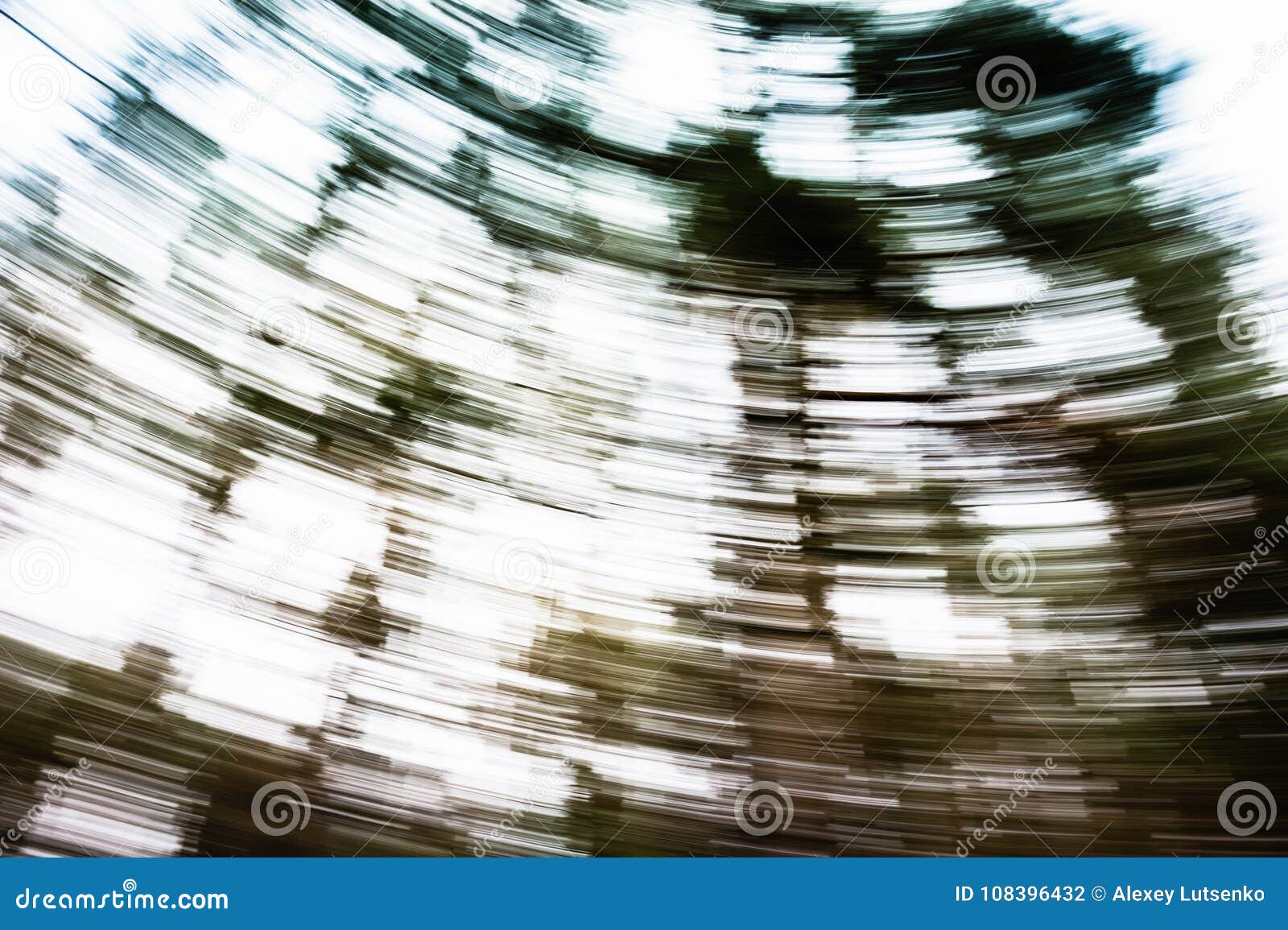 Blurry Motion Pine Forest Abstract Landscape Stock Photo - Image of ...