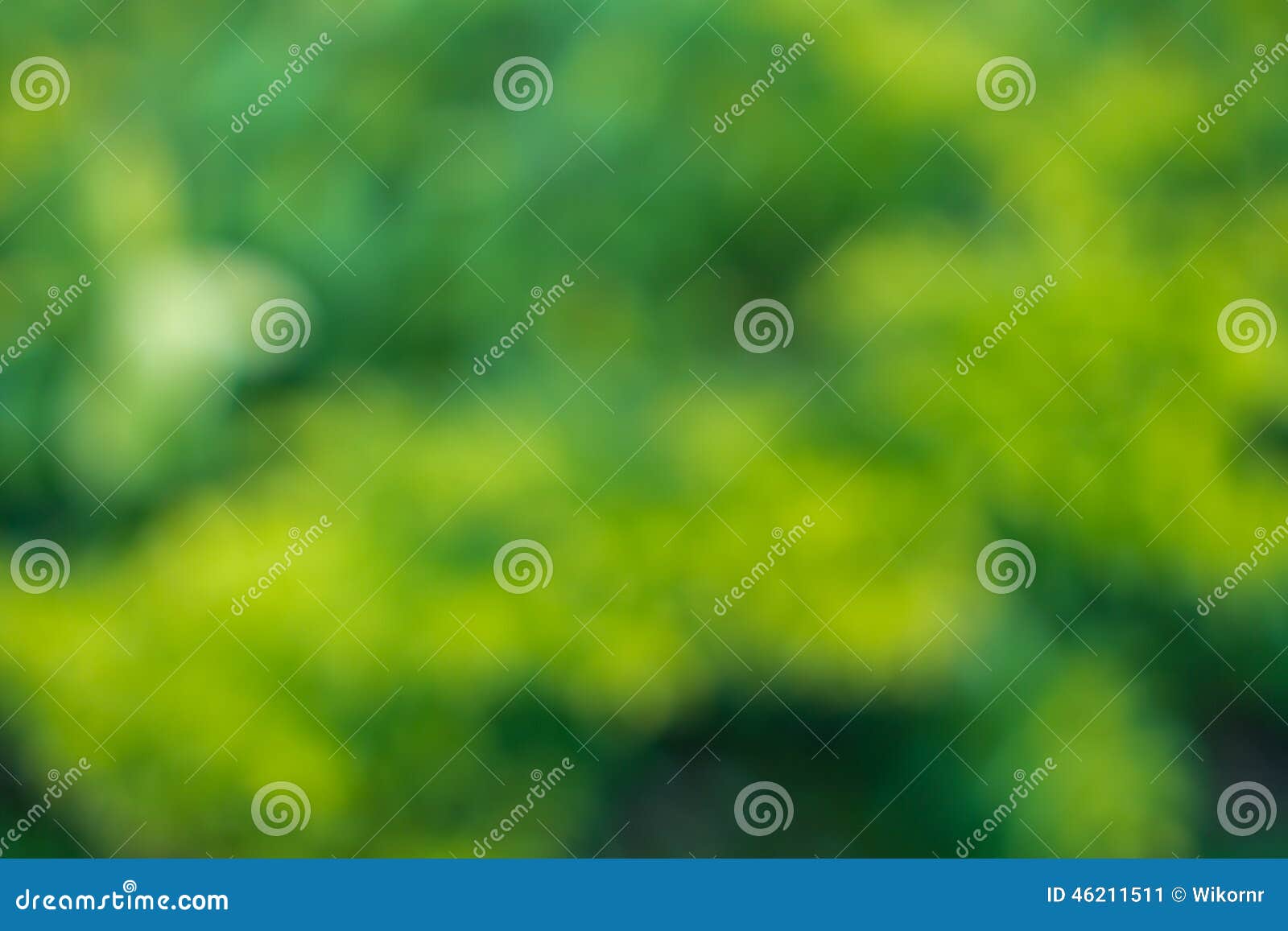 Blurry nature background stock image. Image of focus - 46211511