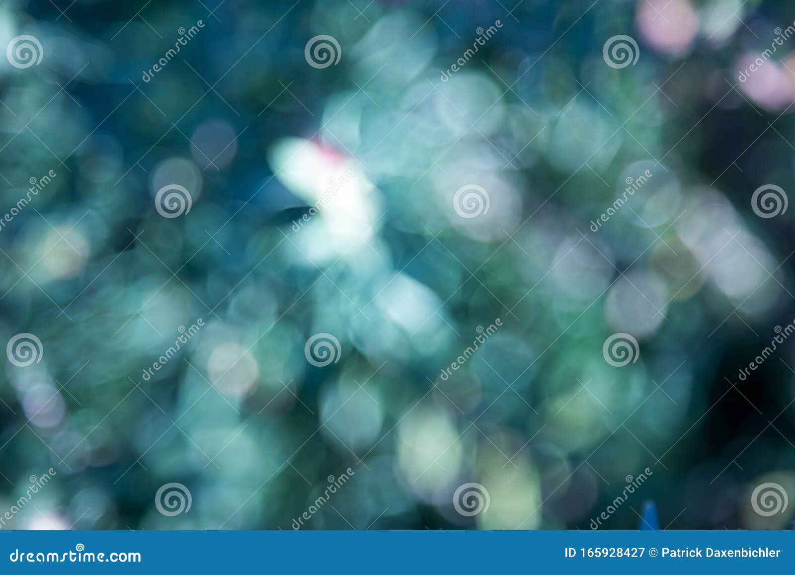 Blurry Nature Background Picture: Abstract Green and Defocused Stock ...