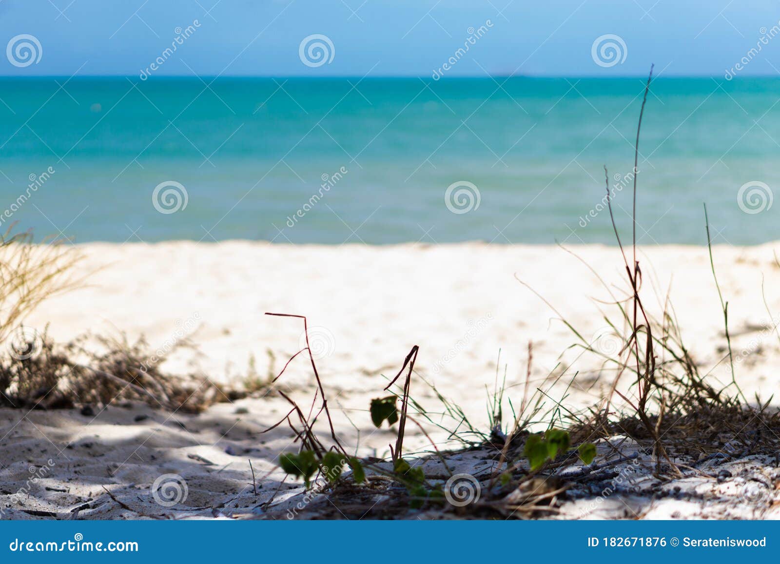 Beach Scene with a Blurry Ocean Stock Photo - Image of scenic, seascape ...
