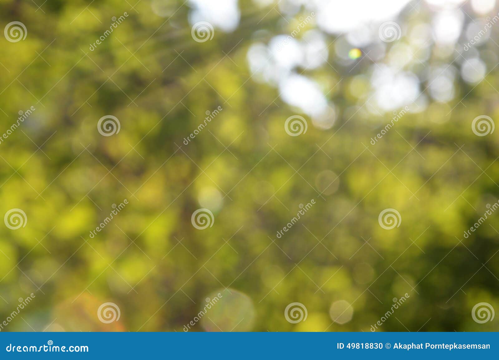 Blurry of the Plant in the Garden Stock Photo - Image of texture ...